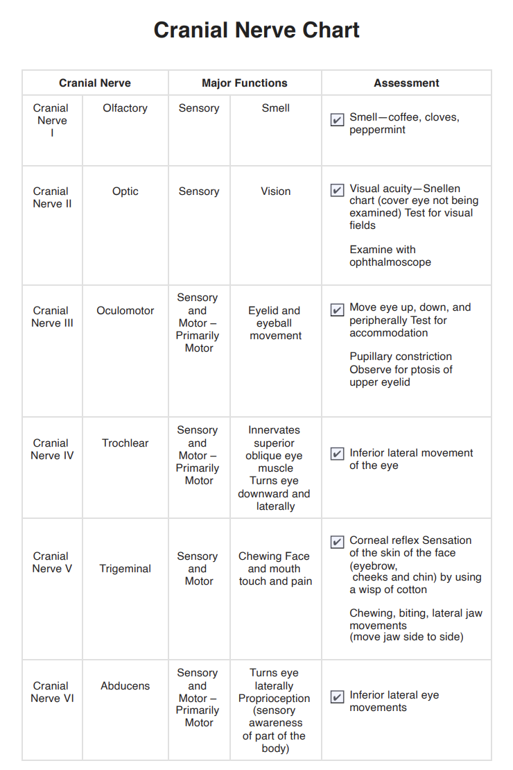 Cranial Nerves Chart And Their Functions
